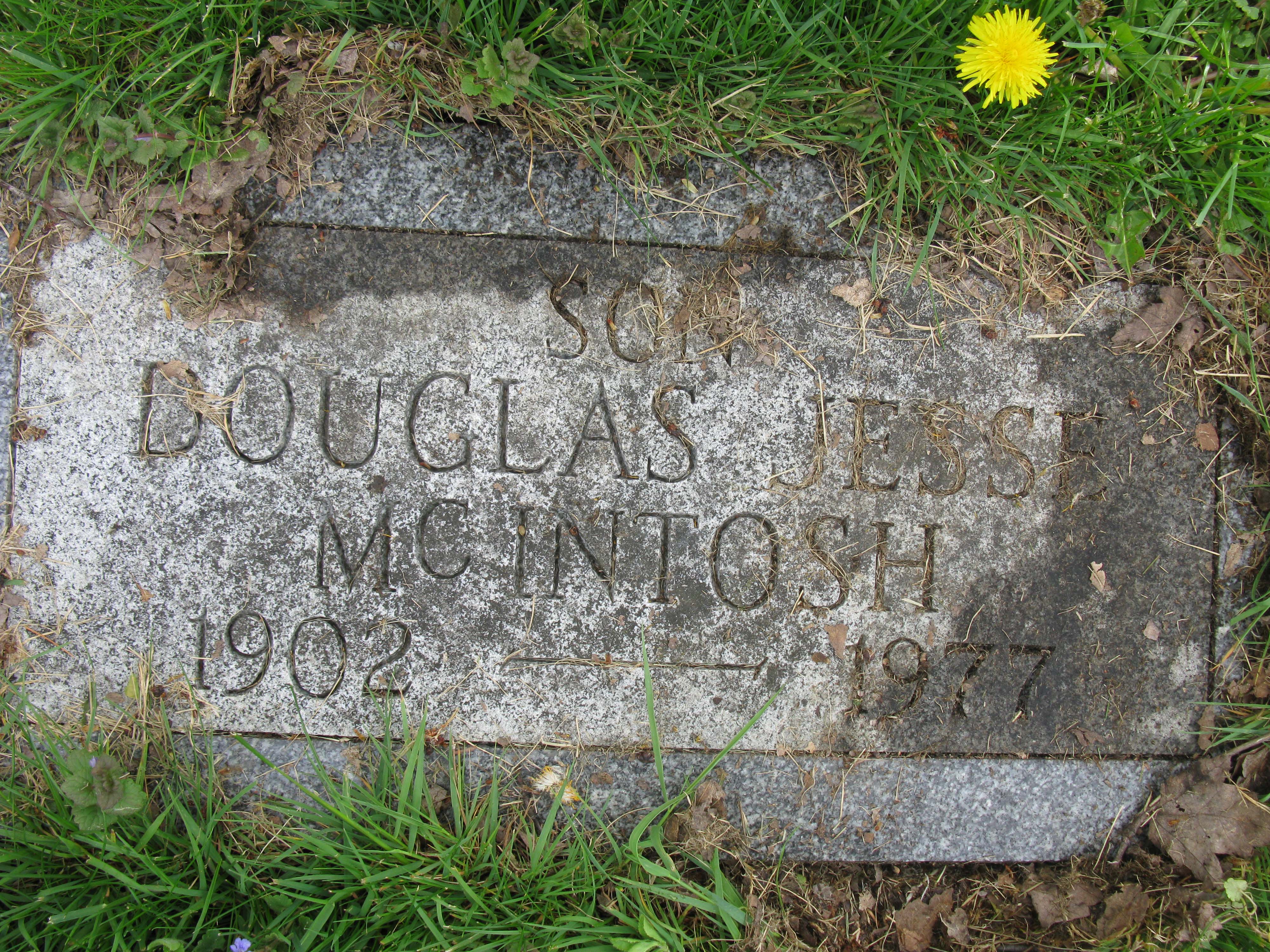 Evergreen Cemetery Section 3