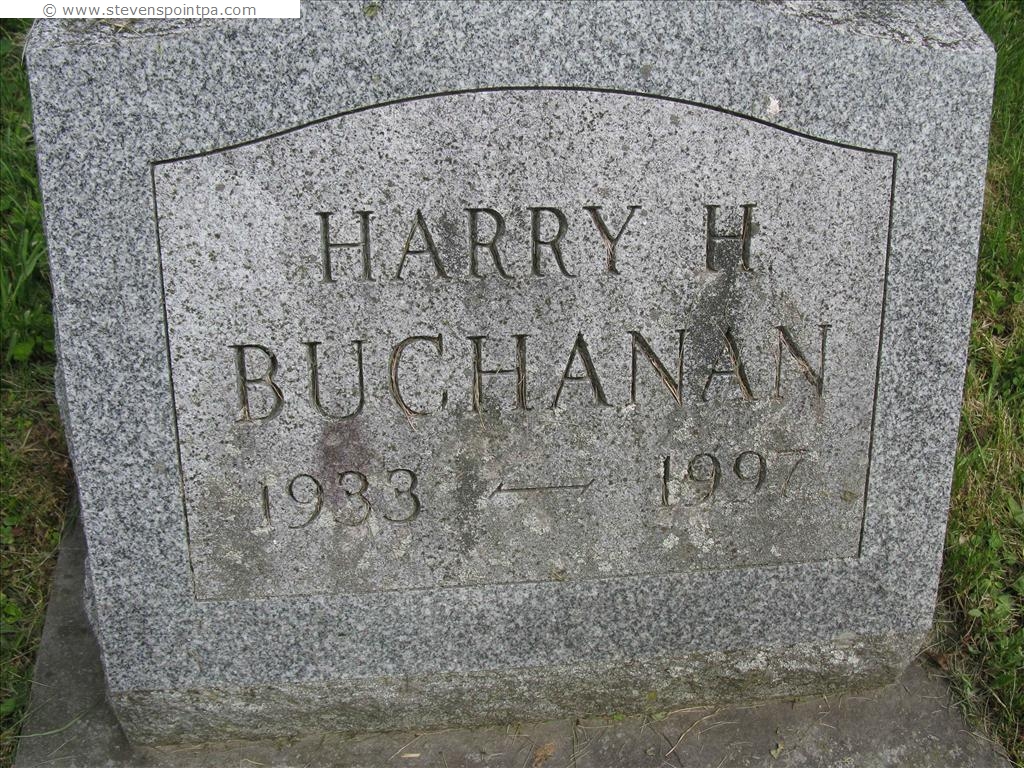 Lanesboro Cemetery Section 2