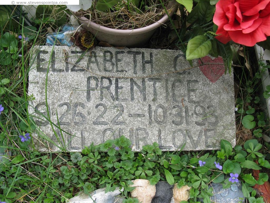 Lanesboro Cemetery Section 2