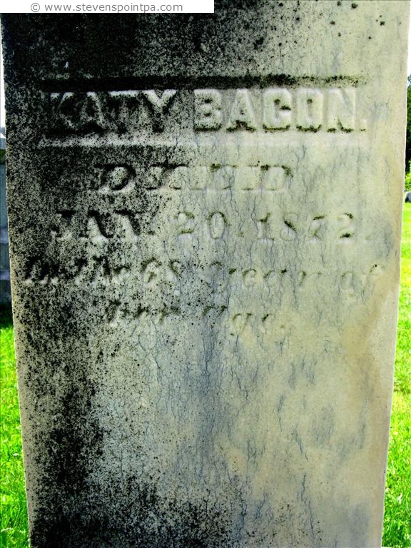 Lanesboro Cemetery Section 3