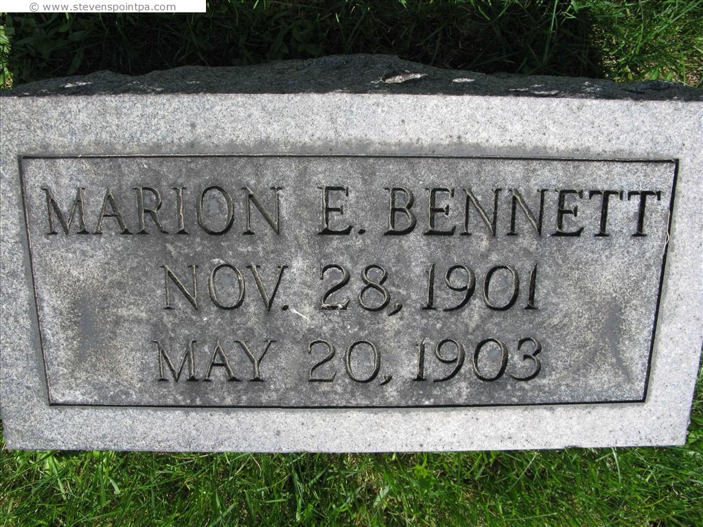 Lanesboro Cemetery Section 3