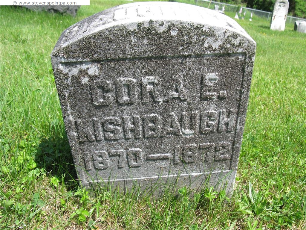 Lanesboro Cemetery Section 3