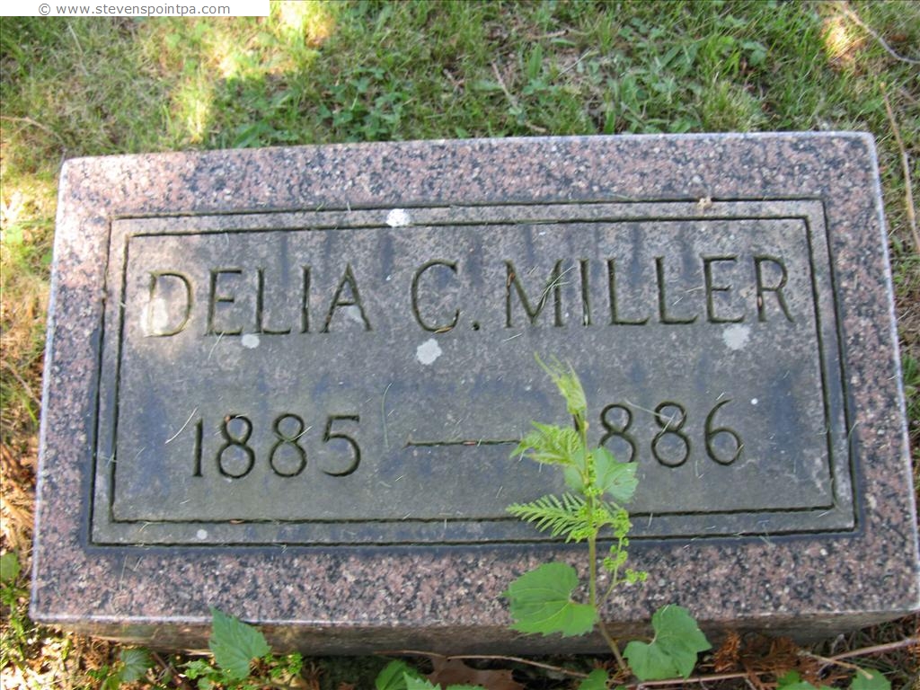 Lanesboro Cemetery Section 3