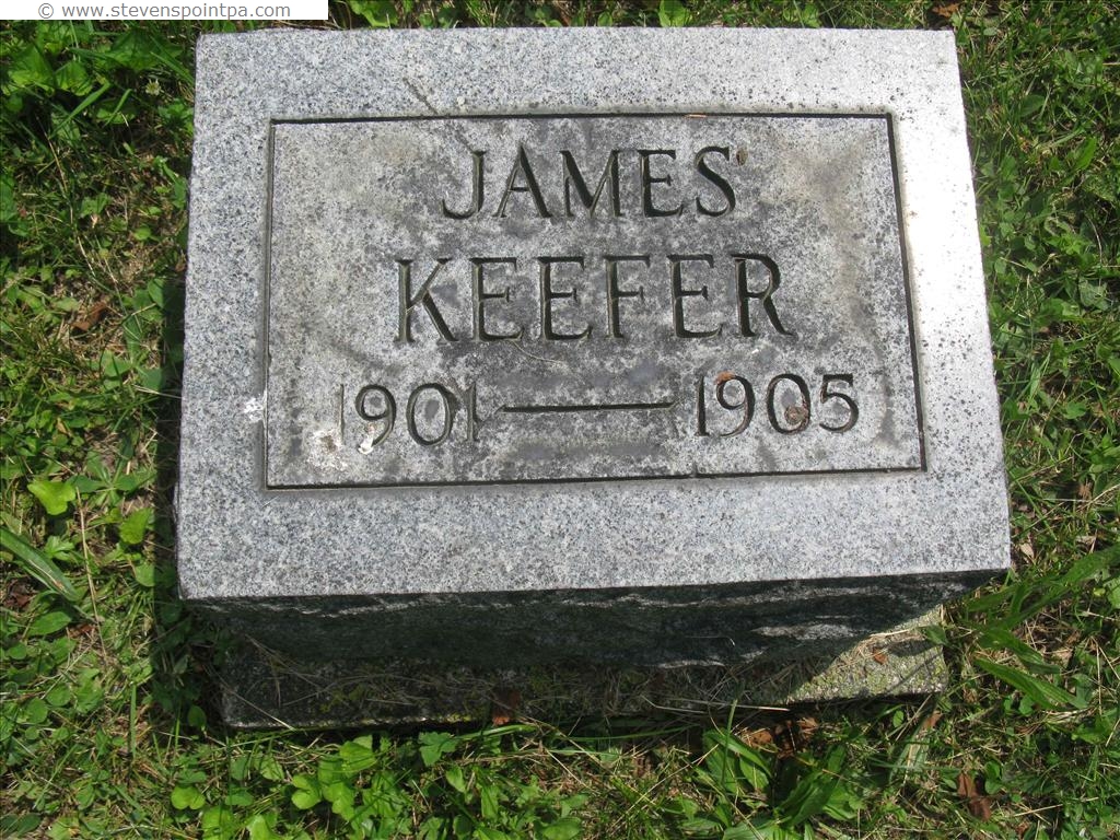 Lanesboro Cemetery Section 4