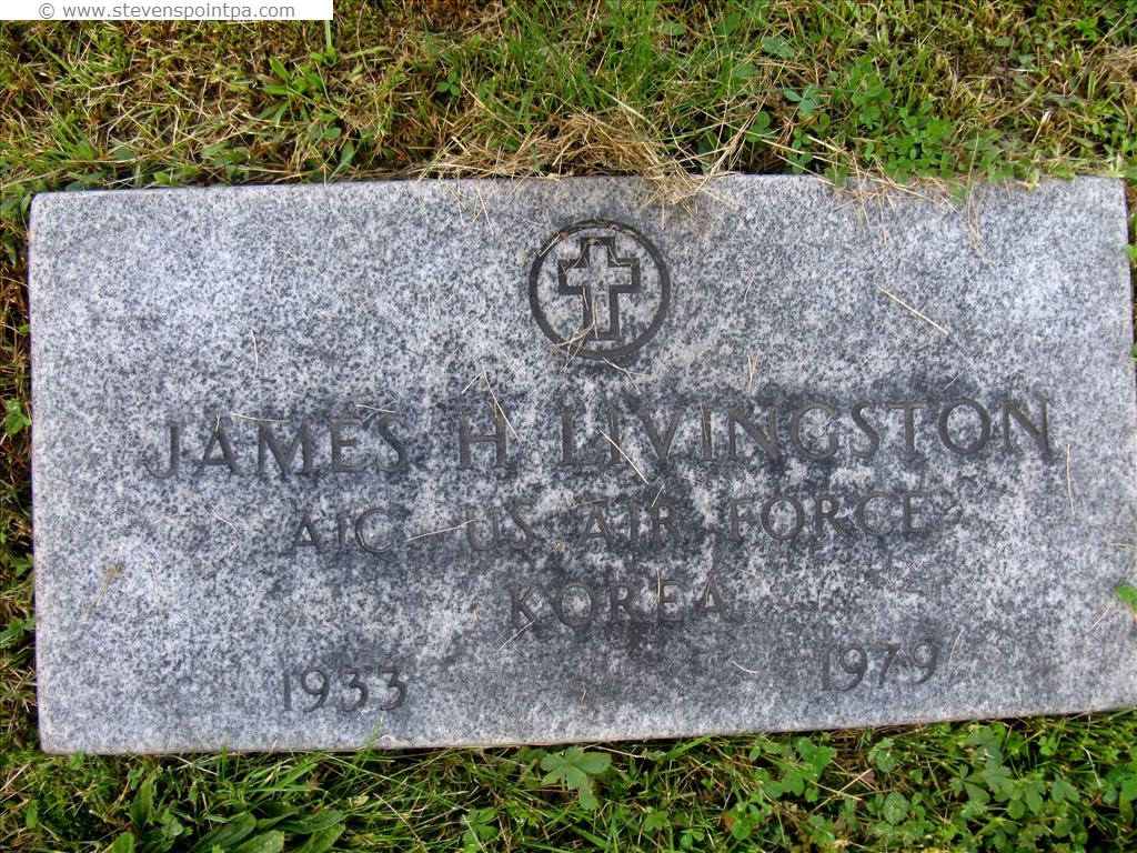 Lanesboro Cemetery Section 4