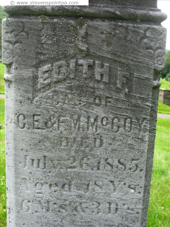 Lanesboro Cemetery Section 4