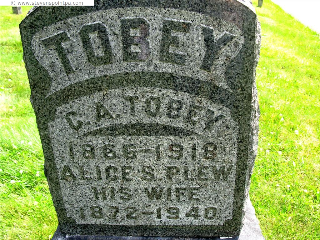 Lanesboro Cemetery Section 4