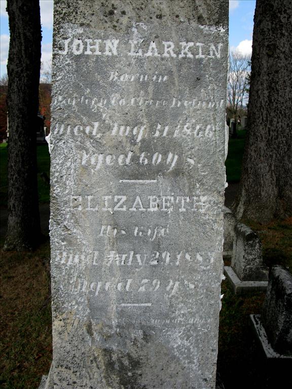 St. John's Cemetery Section 2