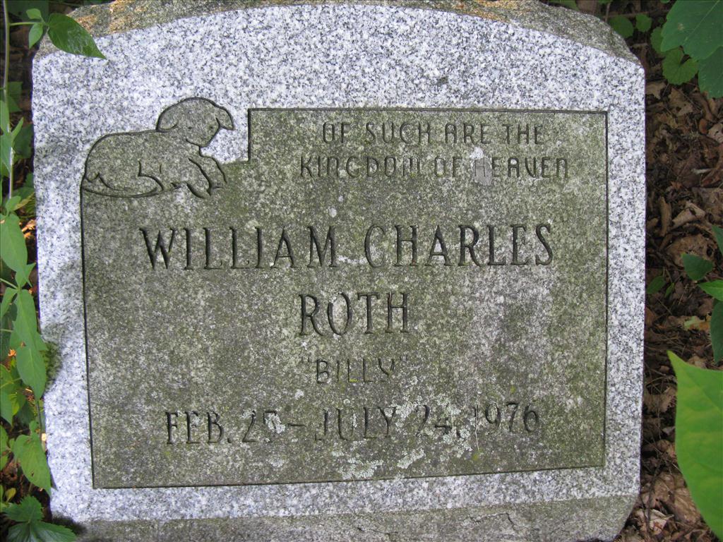 St. John's Cemetery Section 3