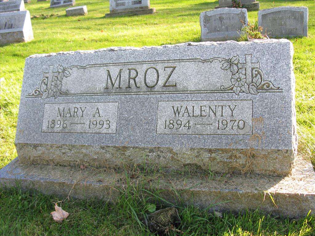 St. John's Cemetery Section 5