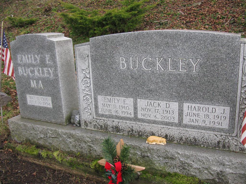 St. John's Cemetery Section 6