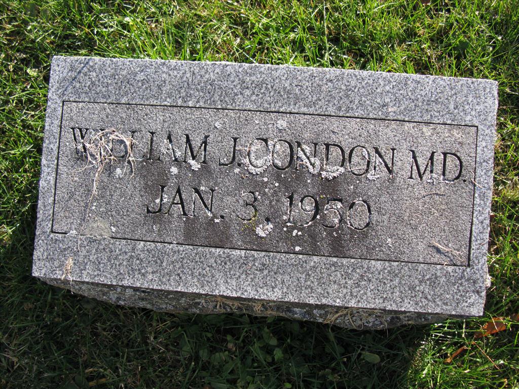 St. John's Cemetery Section 6