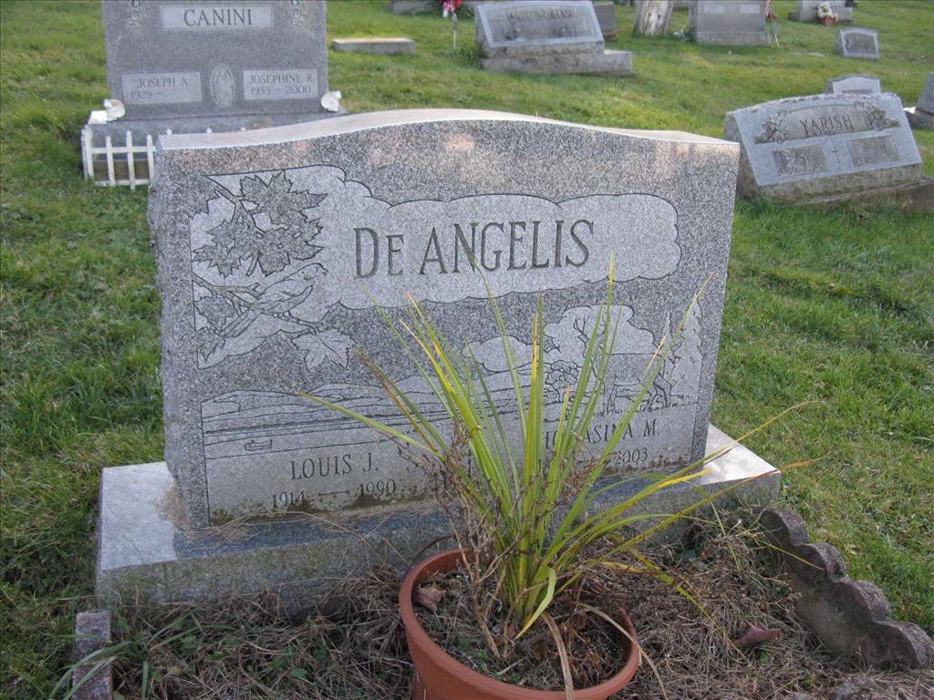 St. John's Cemetery Section 6