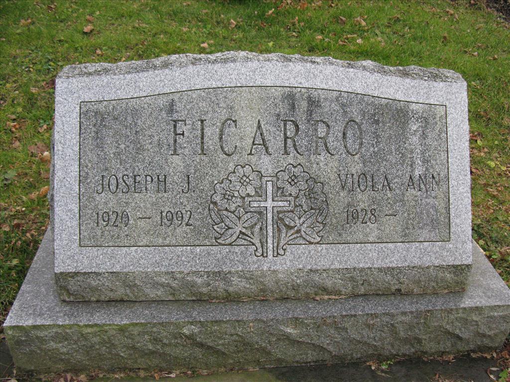 St. John's Cemetery Section 6