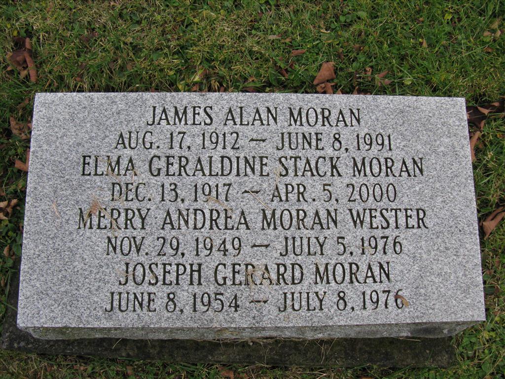 St. John's Cemetery Section 6