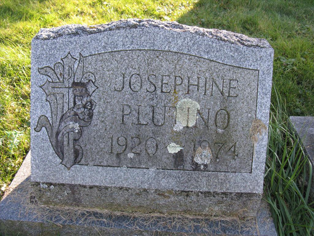 St. John's Cemetery Section 6