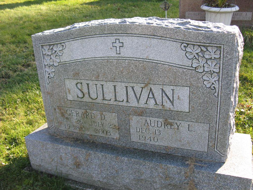 St. John's Cemetery Section 6